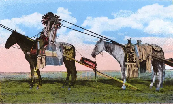 A Dog And Horse Travois With Cheyenne