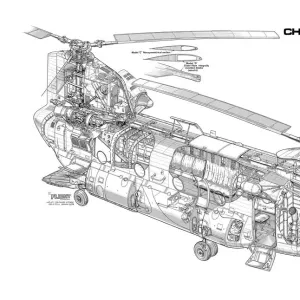 Chinook Helicopter Cutaway