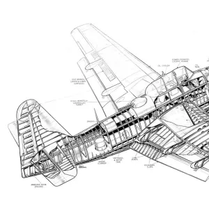 Firefly Cutaway View